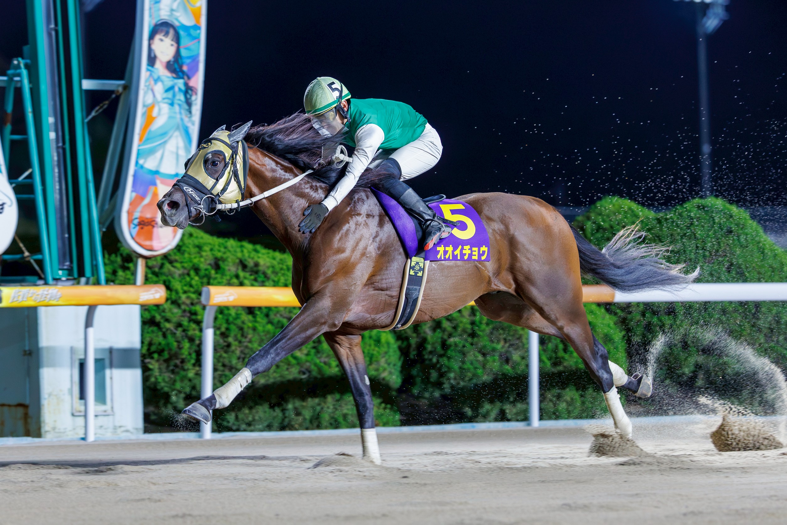 【動画】【佐賀競馬】第8回ウインターチャンピオン（2025.11.16） - スポーツナビ「さがけいば動画チャンネル」