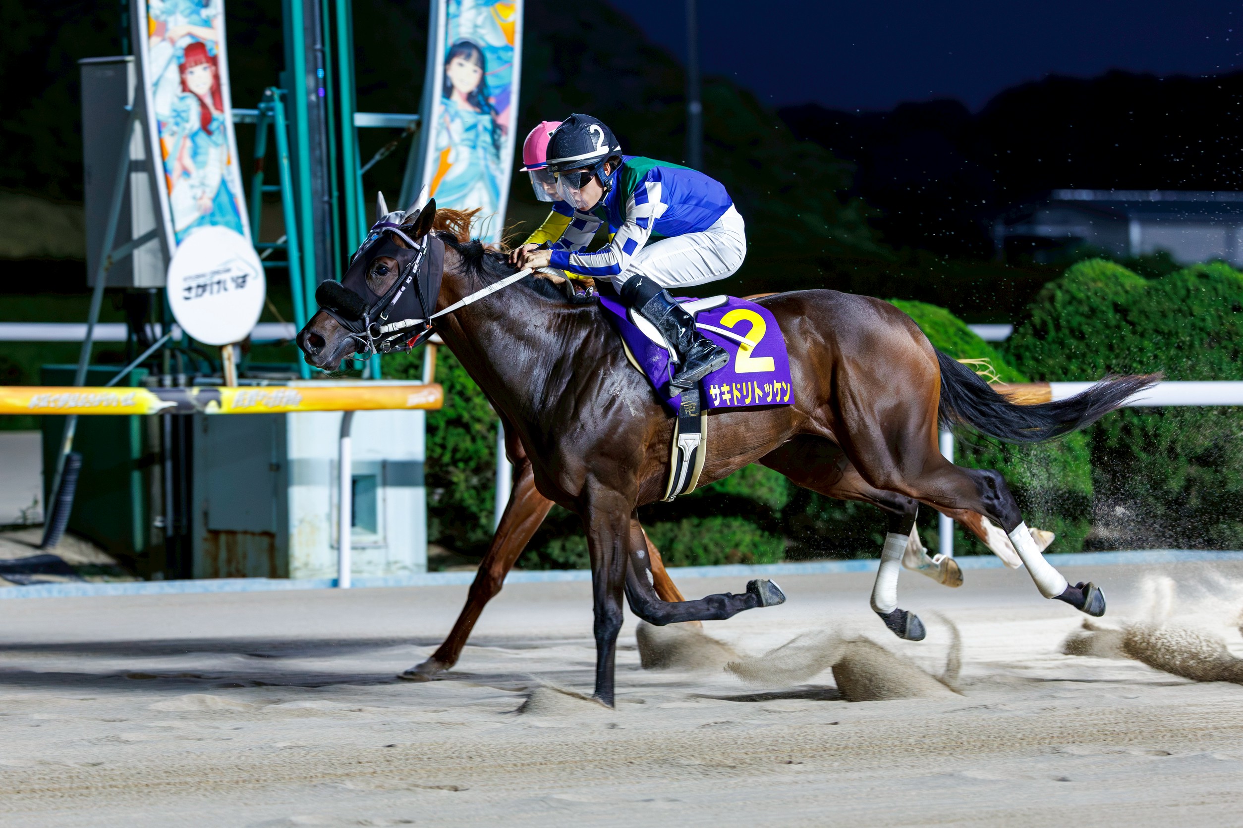 【動画】阪神vsDeNA 2025/09/11 ダイジェスト - スポーツナビ「虎テレチャンネル」