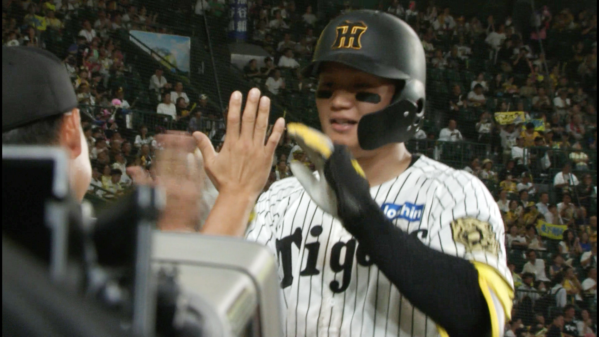 2025年9月19日 阪神タイガースvs.横浜DeNAベイスターズ - プロ野球 - スポーツナビ