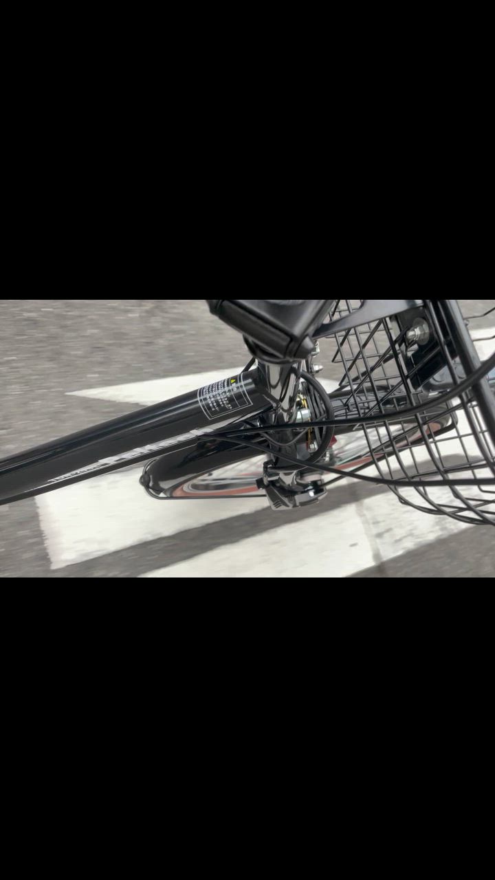 ペルテック PELTECH 20型電動アシスト自転車 外装6段変速 折りたたみ TDN-206L-8AH 【メーカー直送】【ご自宅配送限定】‥ メーカー休業 1月中旬以降発送 ...