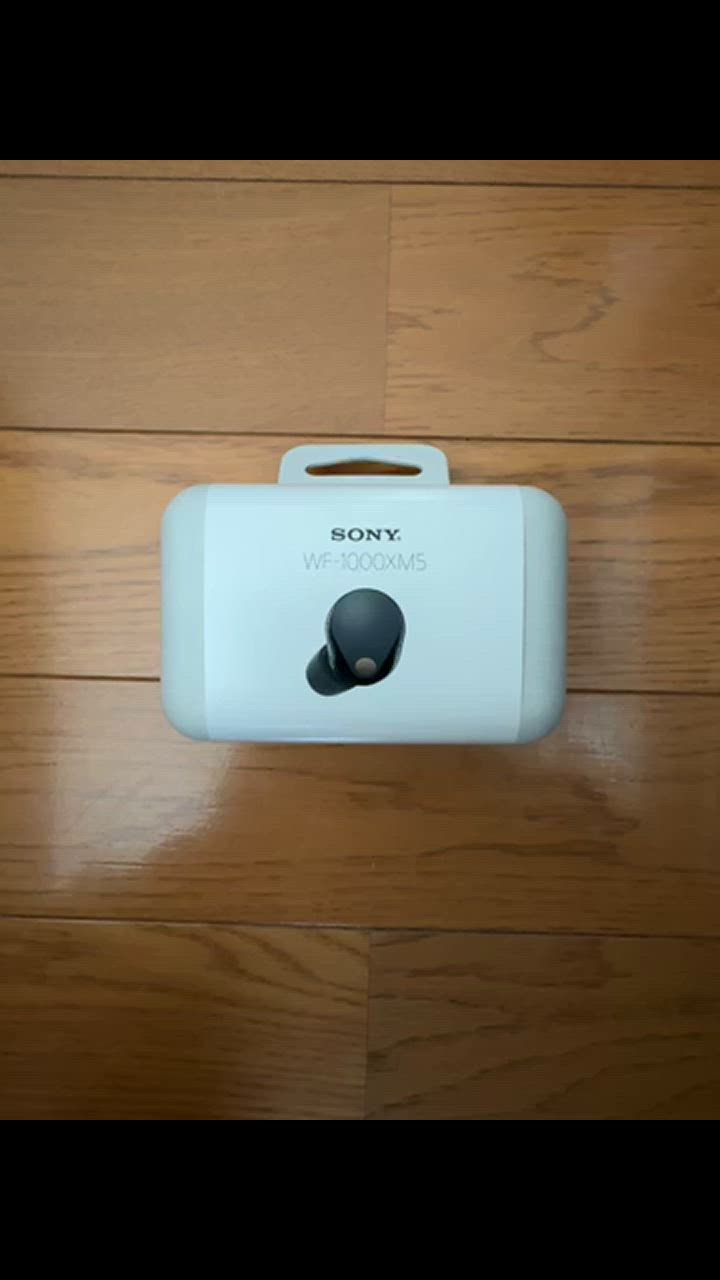 ソニー WF-1000XM5 ワイヤレスノイズキャンセリングイヤホン ソニー WF-1000XM5 ワイヤレスノイズキャンセリングイヤホン
