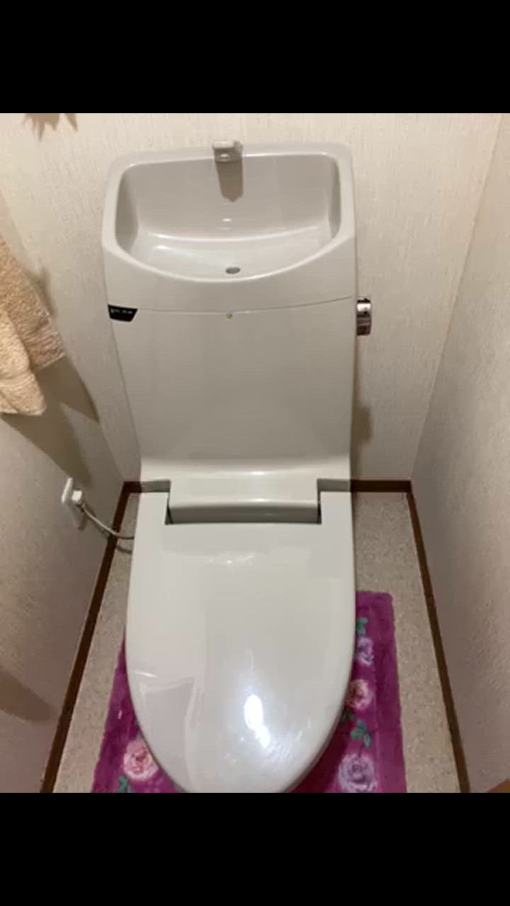 INAX 【メール便対応】LIXIL（INAX） 自動用洗浄ハンドル 【品番：61-1134】 : 住設プロ Yahoo!店 - 通販 - Yahoo!ショッピング