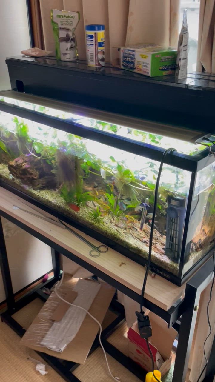 GEX MeGreen 水草を育てる砂 2kg コケの原因物質を含まない 小型水槽 底砂 : 304478 : チャーム charm ヤフー店 - 通販 - Yahoo!ショッピング