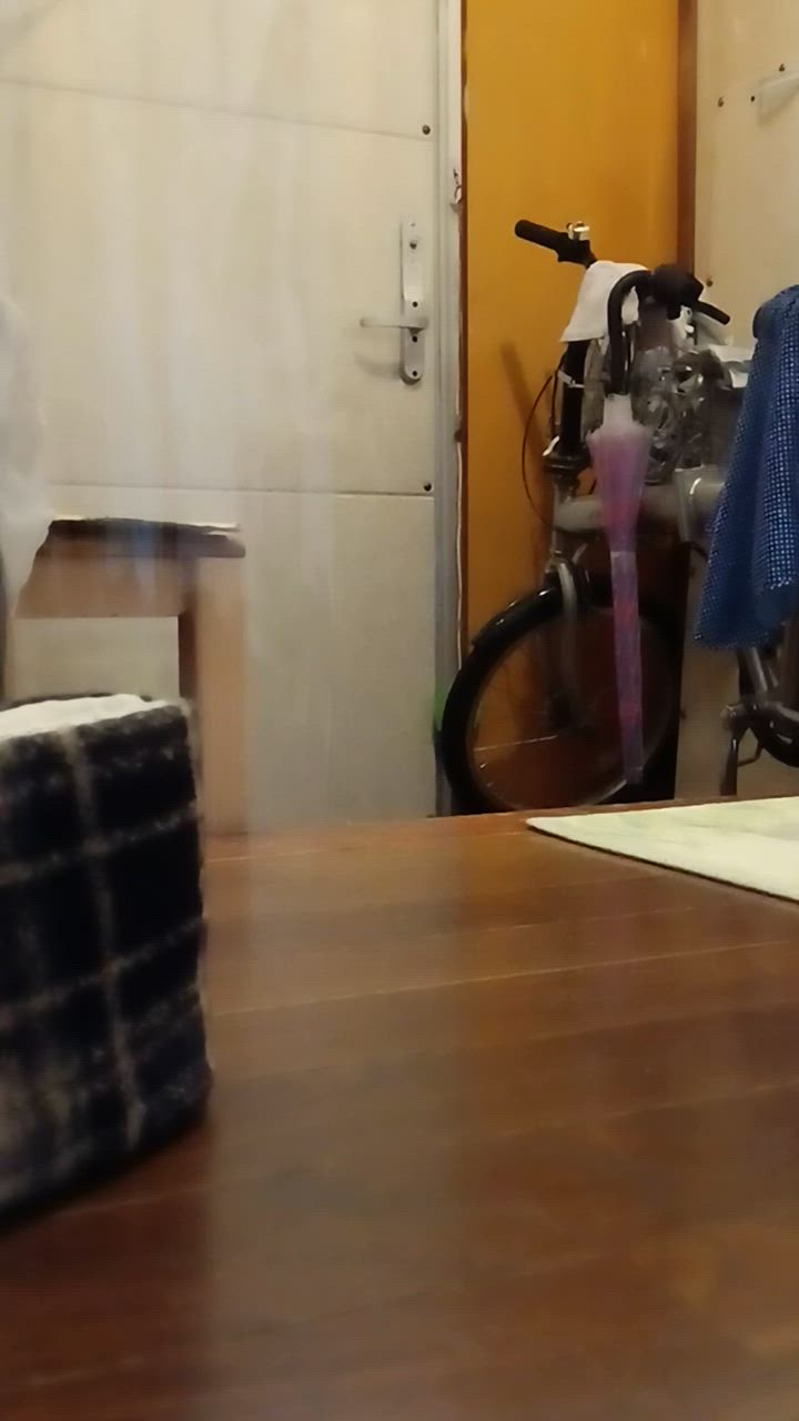 新規格 フルハーネス タジマ TAJIMA スタンダードモデル AHSF-BK ハオルハーネスHS 黒 フリーサイズ 墜落制止用器具適合 安全帯 : ahsf-bk : だてもの - 通販 ...