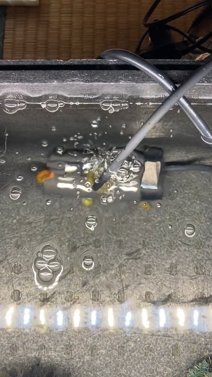 GEX 【送料無料】GEX NEW セーフカバー ヒートナビ80 〜26L水槽用 縦設置可能 ヒーター、サーモ一体型 熱帯魚 : チャーム charm ヤフー店 - 通販 - Yahoo!ショッピング