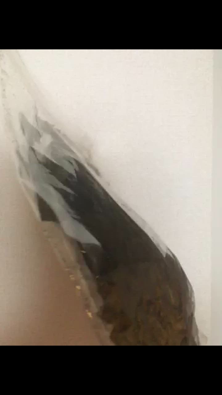 焼もみのり130g 65g×2袋 お得 大容量 業務用 のり弁 焼きそば 爆買 : 鈴木海苔ヤフーショップ - 通販 - Yahoo!ショッピング