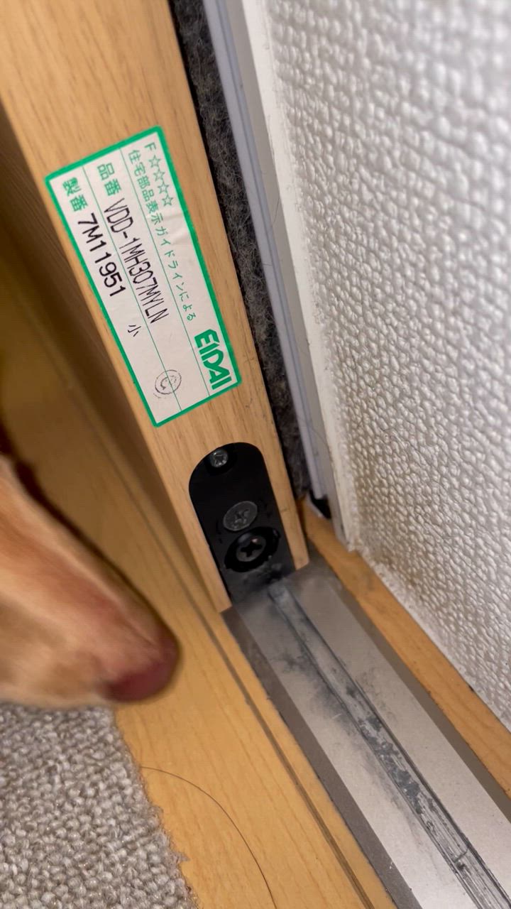 EIDAI TDB-S10B 2個セット 【在庫品】 エイダイ 室内ドア 引き戸用部材 2次元調整戸車 2個入り 永大産業 EIDAI : オヤカタ市場ヤフー店 - 通販 - Yahoo!ショッピング