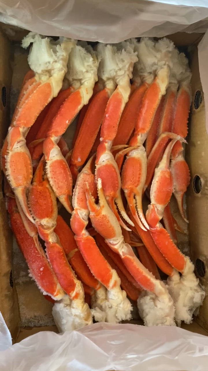 カニ ズワイガニ 本ズワイガニ カニボイル カニ鍋 脚 3l 3kg とれたて 美味いもの市 特大 3Lサイズ 本ズワイ蟹脚 8-10肩 3.0kg : とれたて!美味いもの市 - 通販 ...