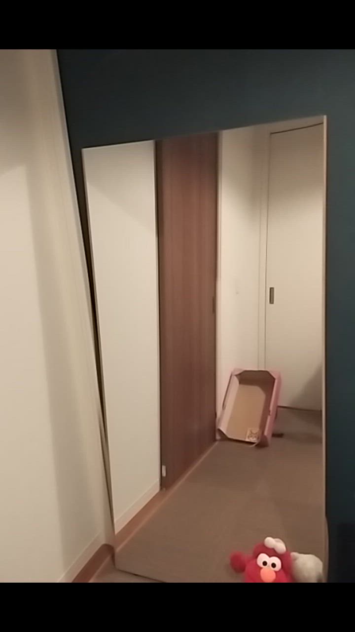 KAGUWORLD 割れない鏡 超軽量 壁掛け 全身鏡 姿見 縦 160cm 160 幅 80cm 80 80×160×2 アルミ ソフトミラー 鏡 軽量 軽い 割れない 木目調 ...