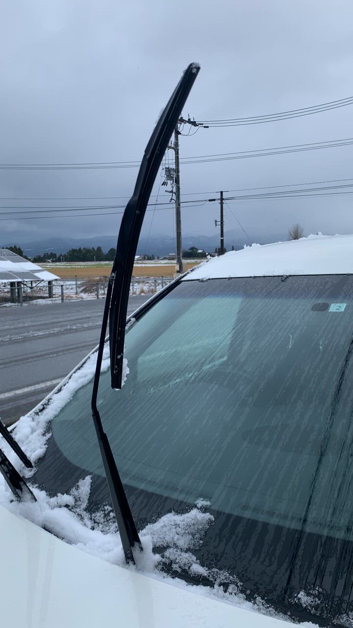 日本ワイパーブレード NWB デザインワイパー用 グラファイトワイパー 替えゴム 650mm DW65GN : CarParts TSC - 通販 - Yahoo!ショッピング