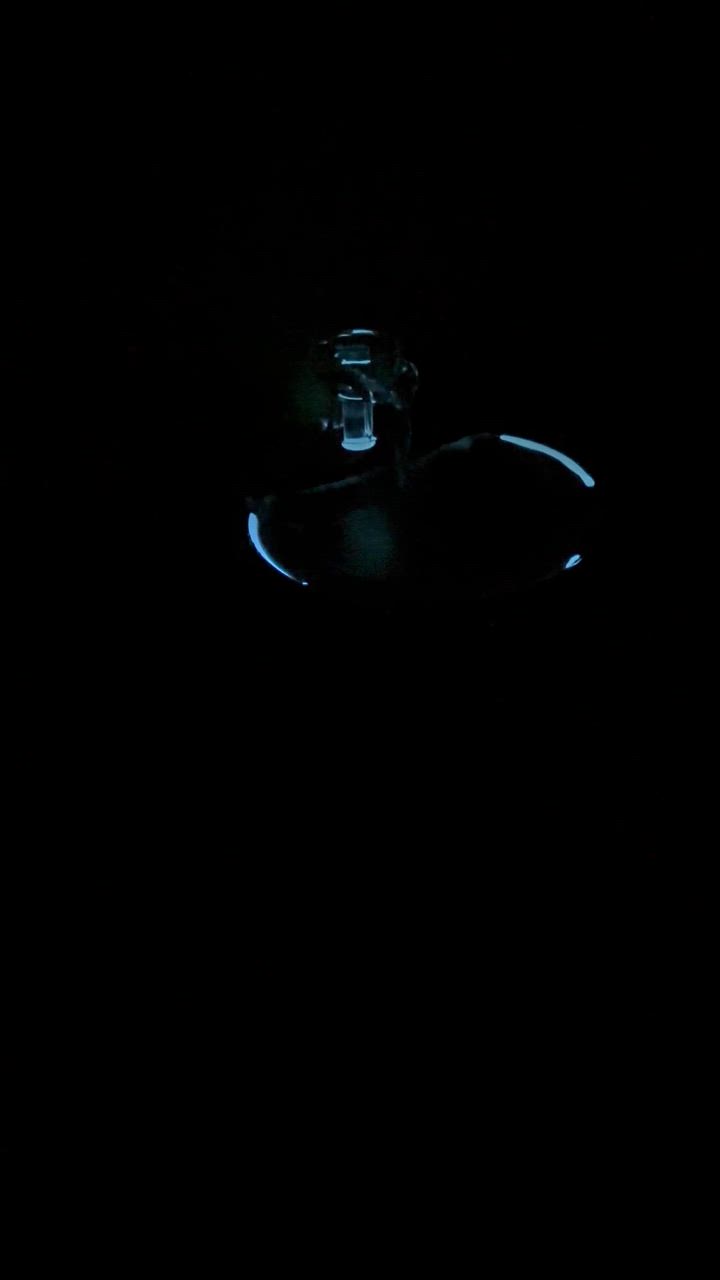 自動給水器 ペット給水器 猫 犬 ステンレス製 2L大容量 多頭飼いも対応 20dB静音 洗いやすい 取付簡単 循環式 給水器ペット 猫給水器 水やり器 給水機 給水装置 : 智恒ショッピング ...