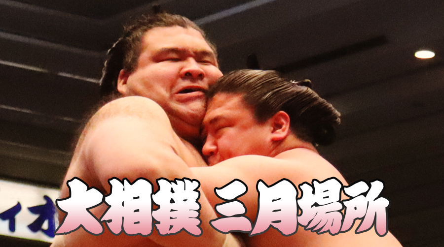 【動画】【相撲協会 十一日目の一番！】 関脇･若隆景 高安 スポーツナビ「日本相撲協会」