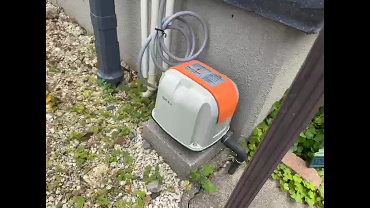 安永エアポンプ 安永 AP-60G AP60G 浄化槽 ブロワー 浄化槽ブロア 浄化槽ポンプ 浄化槽エアーポンプ 60 ブロアー エアーポンプ 3年保証付 : AQUA LEGEND - 通販 ...