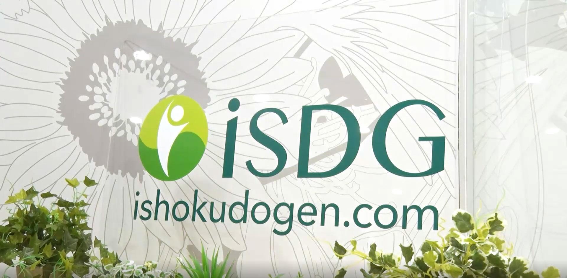 麻辣湯 マーラー マーラータン 12個 カップ麺 麻辣湯麺 痺辛 シビ辛 麻辣 スパイス スパイシー 香辛料 中国 : ISDG 医食同源ドットコム - 通販 - Yahoo!ショッピング