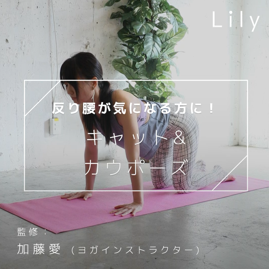 反り腰が気になる方に! キャット カウポーズ Lily Yahoo Japan