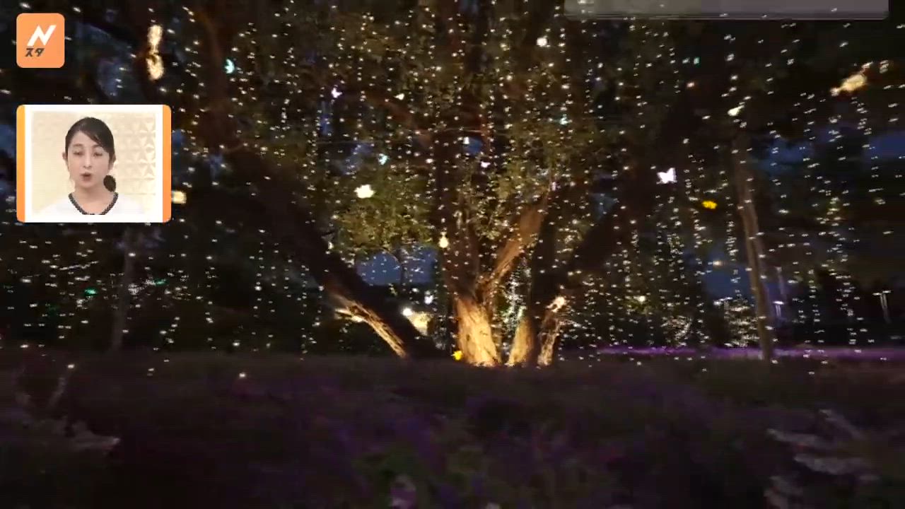 壮大で幻想的な「藤の花」やプロジェクションマッピングも この時期楽しめる花とイルミネーションの絶景【すたすた中継】｜TBS NEWS DIG - TBS NEWS DIG Powered by ...