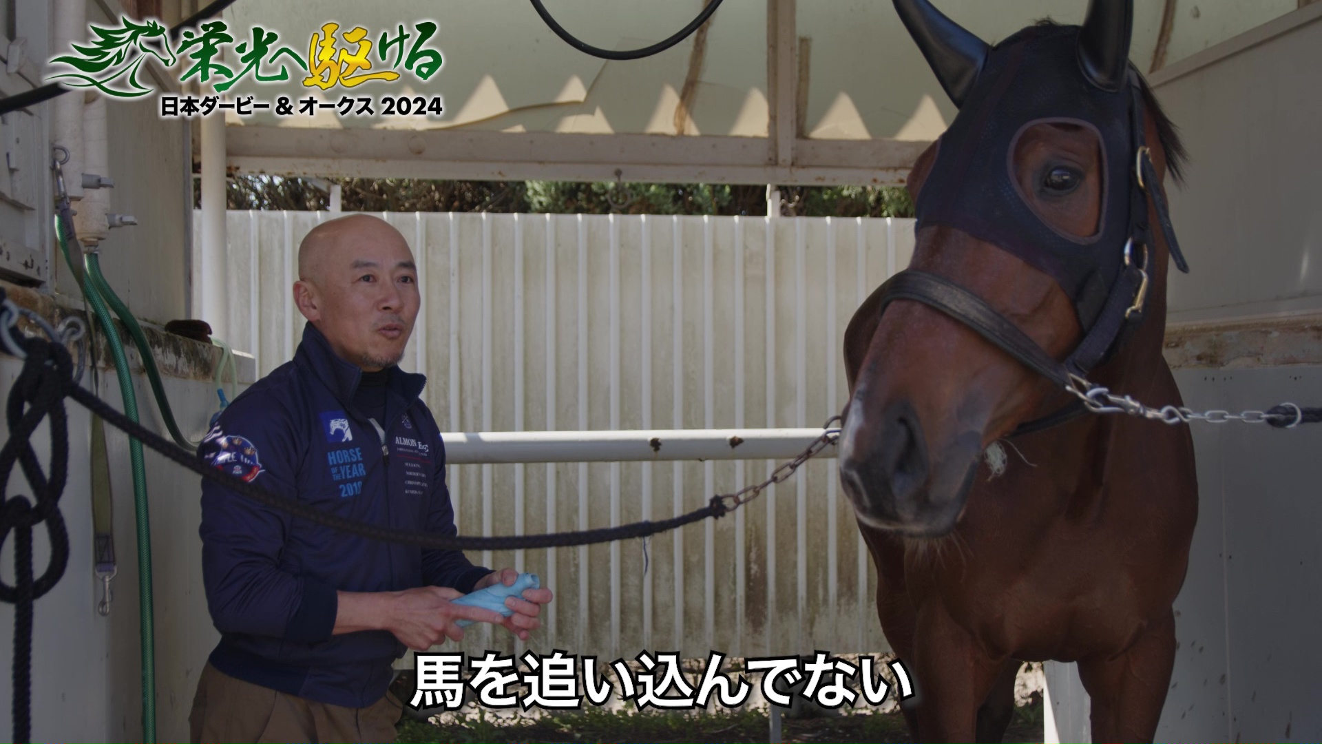 【動画】【オークス直前】桜花賞馬ステレンボッシュ（秘）カワイイ映像 - スポーツナビ「テレ東スポーツ」