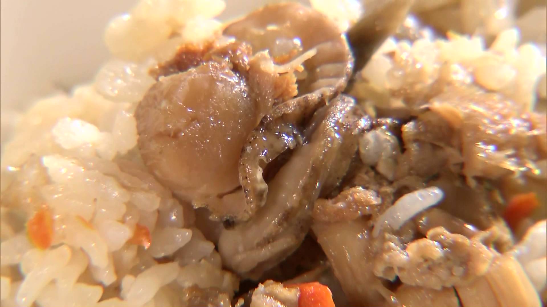 【ホタテ消費拡大へ】中国の水産物全面禁輸に負けない…学校給食やネット販売・イベントなどで国内の"消費増大"目指す - 北海道ニュースUHB TimeLine | Yahoo! JAPAN