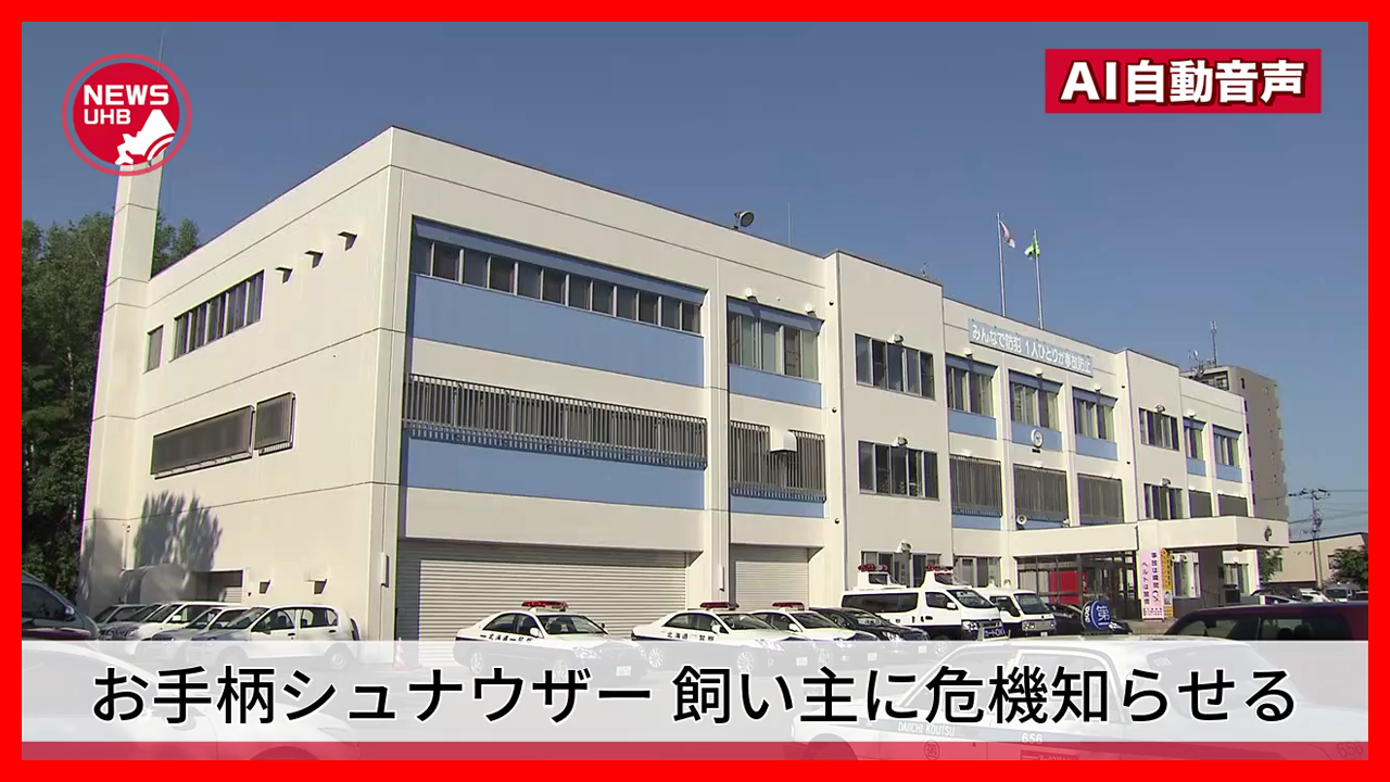 “お手柄シュナウザー”吠えて飼い主の男性起こす 男性は自宅に侵入した男を約100メートル追跡し取り押さえる 男は「持ち金増やそうと…」 - 北海道ニュースUHB TimeLine ...