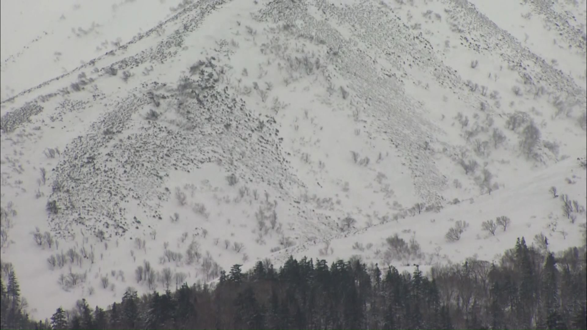 北海道利尻山で4人が死傷 原因は雪山で発生した「表層雪崩」か…この時期は“バックカントリー”が人気のスポット 冬の観光の落とし穴 - 北海道ニュースUHB TimeLine | Yahoo ...