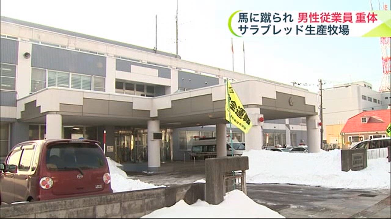 「頭部を馬に蹴られて意識がない」サラブレッドの生産牧場で馬に蹴られインド国籍の31歳男性が"意識不明" ドクターヘリで搬送 北海道むかわ町 - 北海道ニュースUHB TimeLine ...
