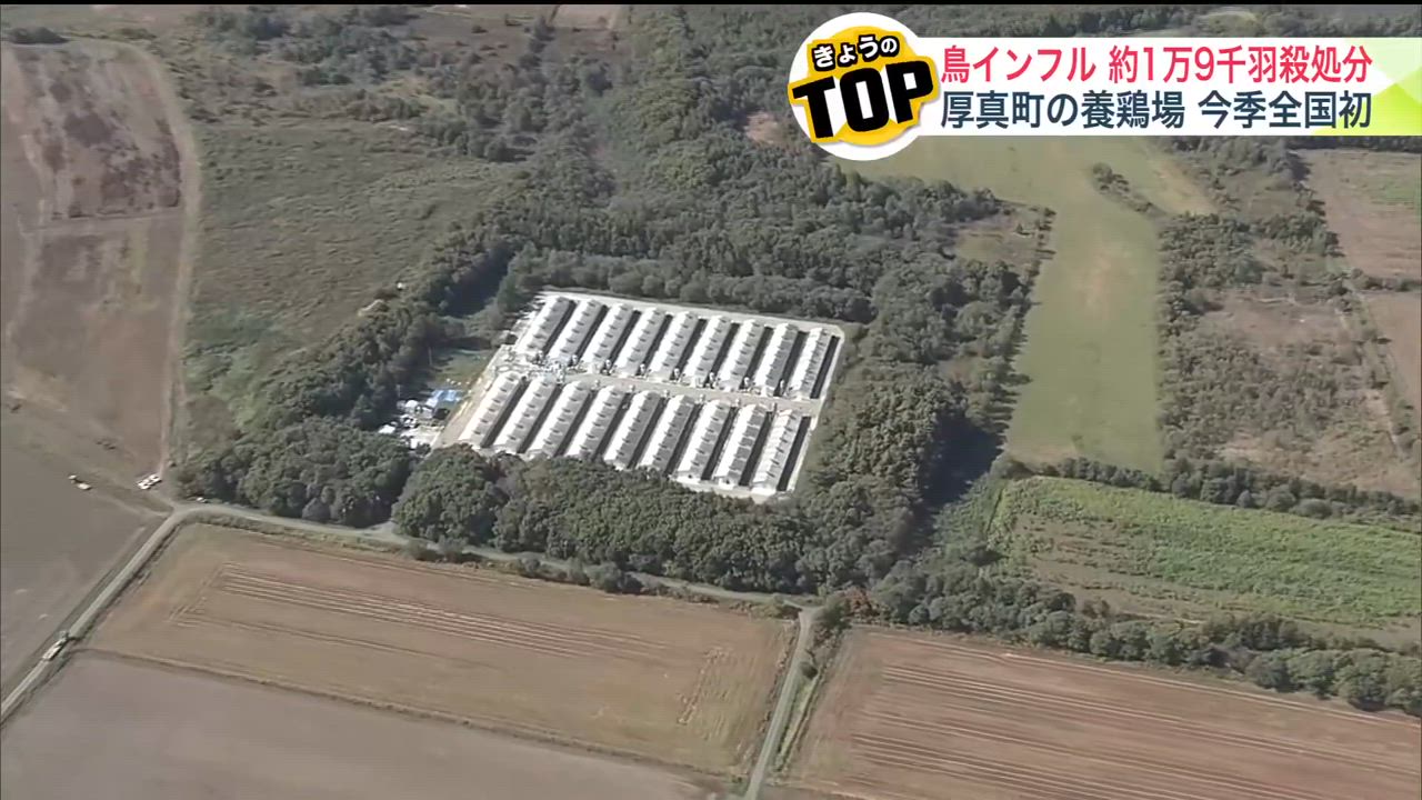 今季全国初 「鳥インフルエンザ」北海道・厚真町の養鶏場で確認 約1万9000羽を殺処分 「エッグショック」再来の心配に鈴木知事は「根拠のないうわさなどで混乱が生 - 北海道ニュースUHB ...