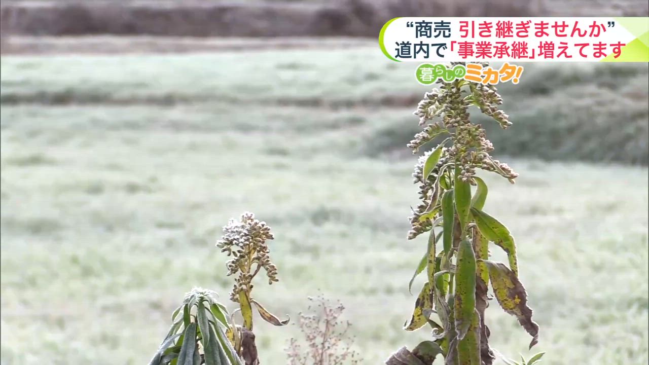 「私たちの商売、引き継ぎませんか？」 夫婦で切り盛りする地域でたったひとつの商店 後継者がいない問題にどう向き合うのか… ”後継者不足”全国ワースト4位の北海道で進む支援の取り組みとは ...