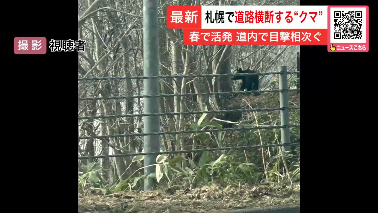 【ヒグマ出没】1頭のクマが国道沿いに『ポツン』と…春をむかえ行動が活発に_北海道でクマの目撃相次ぐ―札幌市西区のトンネル近くで横断する姿も…現場の約70メートル先には民家が - 北海道ニュース ...