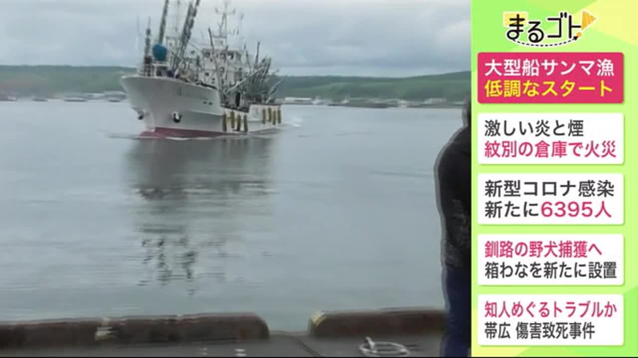 「小さくてダメ」サンマ漁の主力"棒受け網漁"初水揚げ 低調なスタート…過去最低の去年も下回る - 北海道ニュースUHB TimeLine | Yahoo! JAPAN